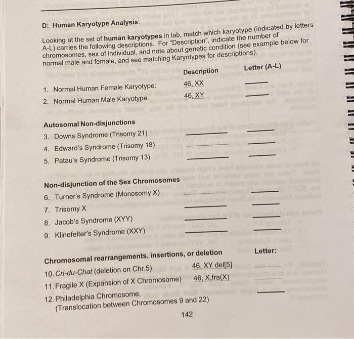 Solved D: Human Karyotype Analysis: Looking at the set of | Chegg.com