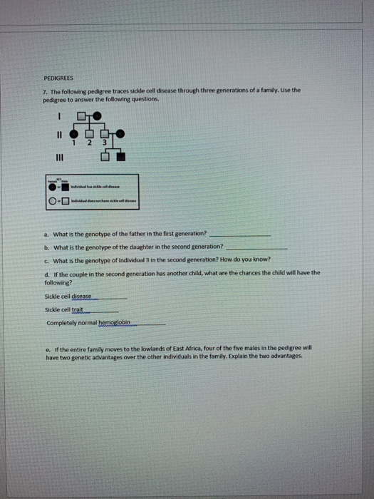 Solved QUESTIONS MENDELIAN GENETICS AND PROBABILITY 3. If | Chegg.com
