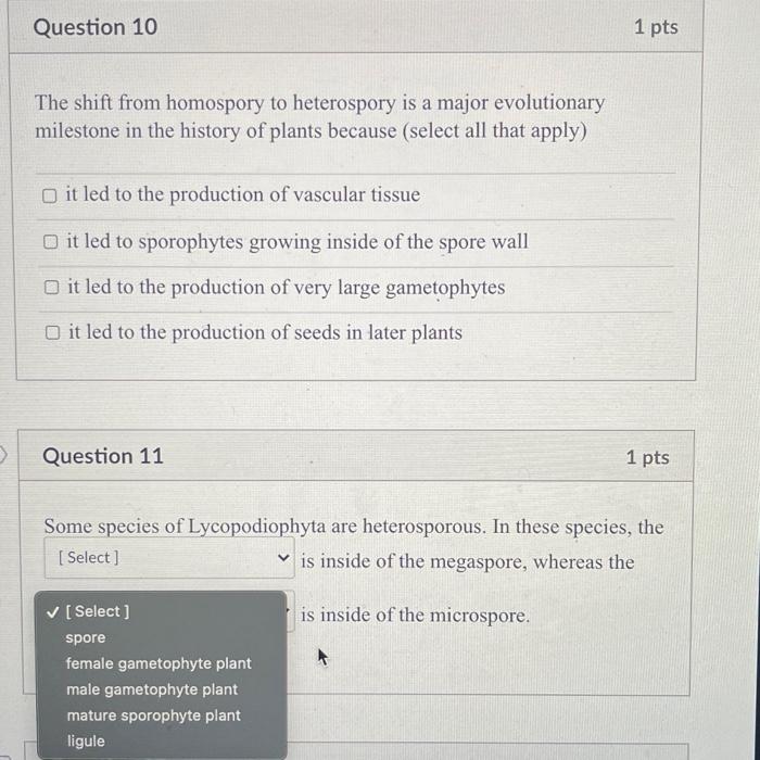 Solved Question 10 1 pts The shift from homospory to | Chegg.com