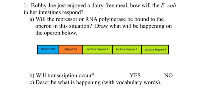 Solved The following activity will test your knowledge of | Chegg.com