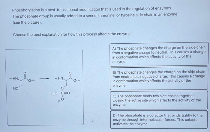 Solved Phosphorylation is a post-translational modification | Chegg.com