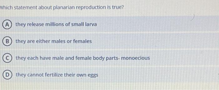 Solved which statement about planarian reproduction is true? | Chegg.com
