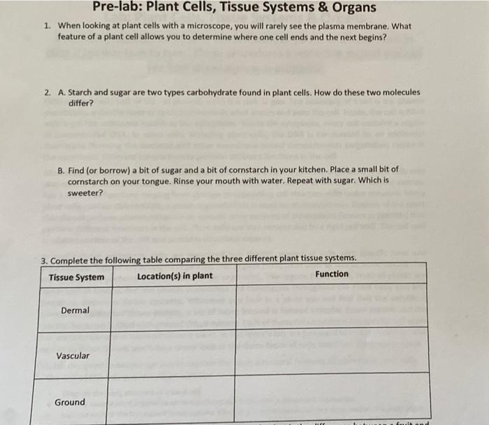 Solved Pre-lab: Plant Cells, Tissue Systems & Organs 1. When | Chegg.com