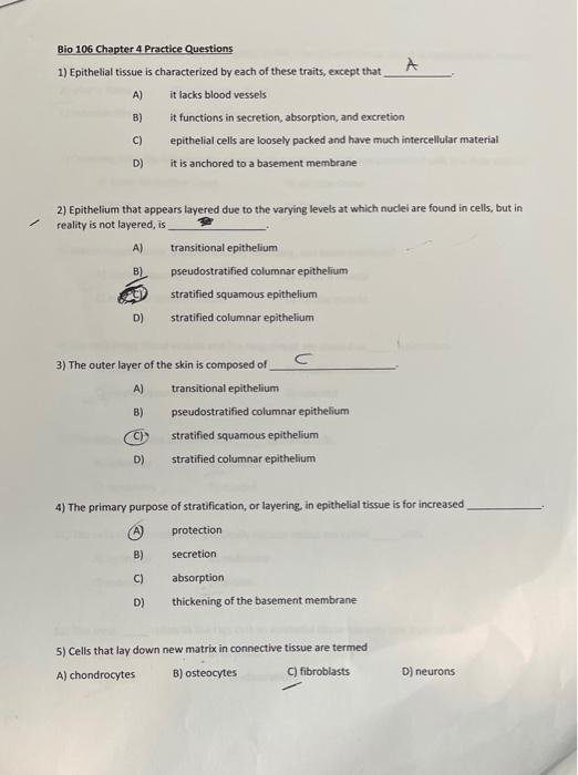 Solved Bio 106 Chapter 4 Practice Questions 1) Epithelial | Chegg.com