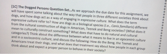 Solved [1C] The Dogged Persons Question-Set...As we approach | Chegg.com