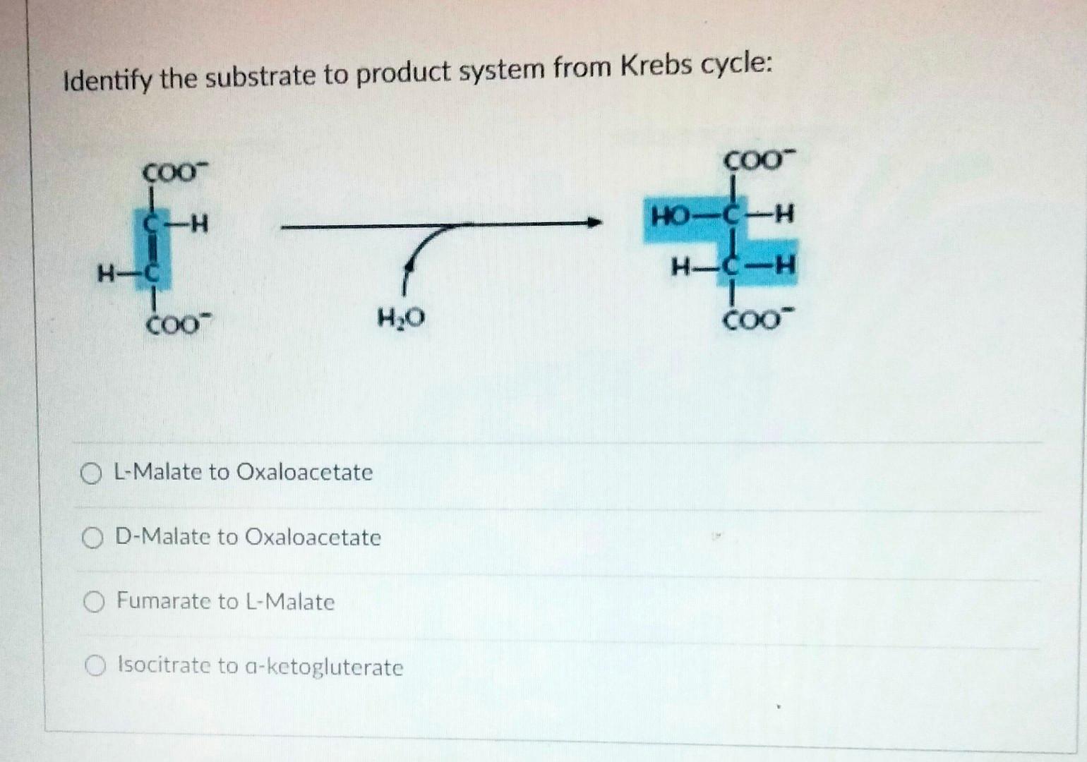 Solved Identify the substrate to product system from Krebs | Chegg.com