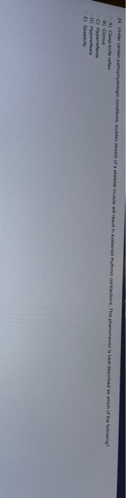 Solved 24. Under certain pathophysiologie conditions, sudden | Chegg.com