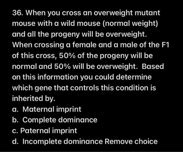 Solved 36. When you cross an overweight mutant mouse with a | Chegg.com