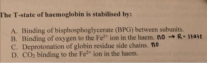 Solved he T-state of haemoglobin is stabilised by: A. | Chegg.com