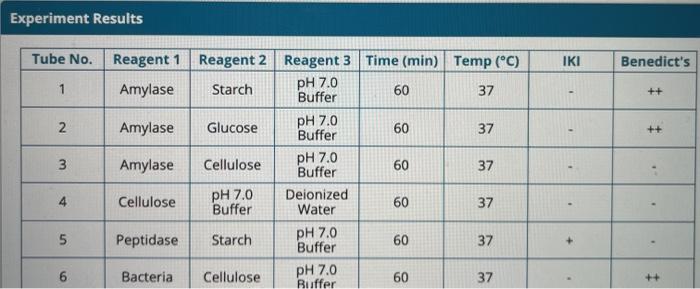 Solved Reset Activity PEx Exploring Amylase Substrate | Chegg.com