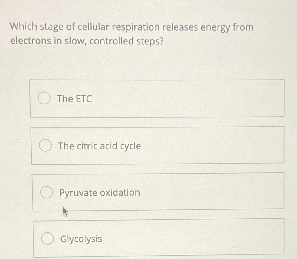 Solved Which stage of cellular respiration releases energy | Chegg.com
