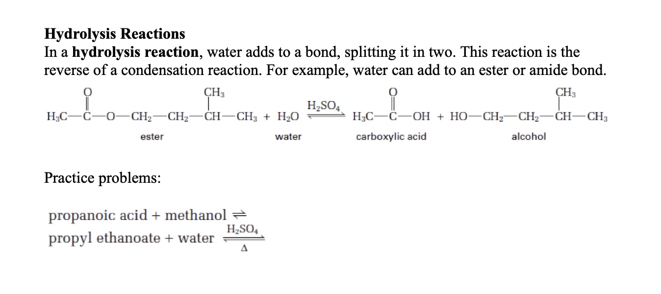 Solved Hydrolysis ReactionsIn a hydrolysis reaction, water | Chegg.com