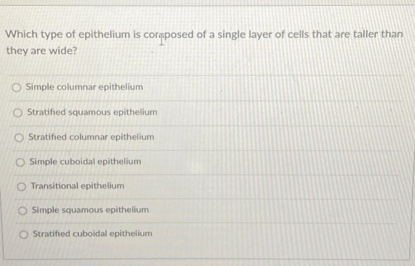 Solved Which type of epithelium is cormposed of a single | Chegg.com