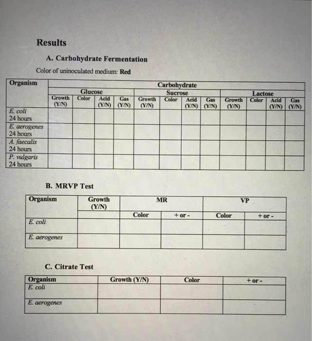 Solved Results Carbohydrate Sucrose Color Acid Gas (Y/N) | Chegg.com