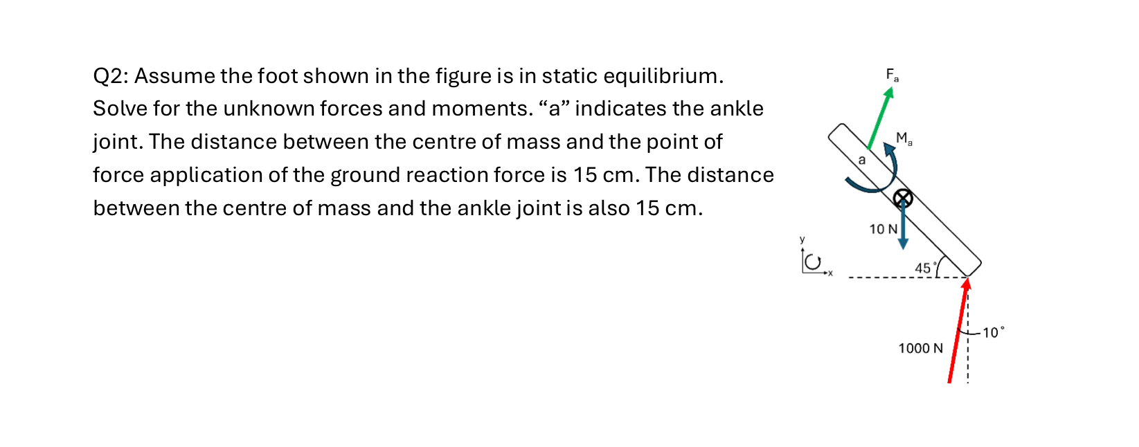 Solved Q2: Assume the foot shown in the figure is in static | Chegg.com