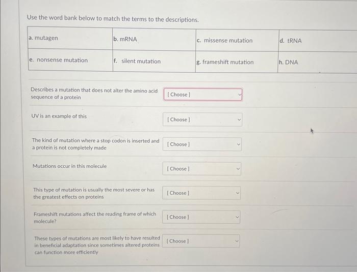 Solved Use the word bank below to match the terms to the | Chegg.com