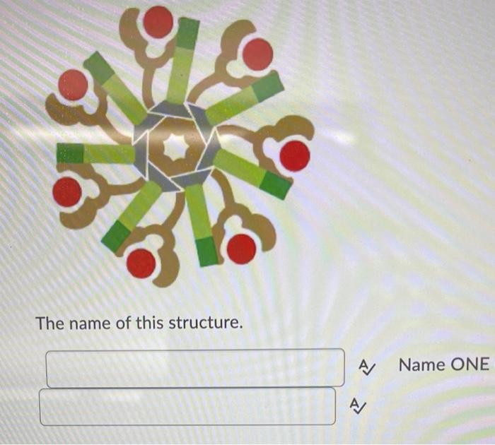 Solved The name of this structure and name one component in | Chegg.com