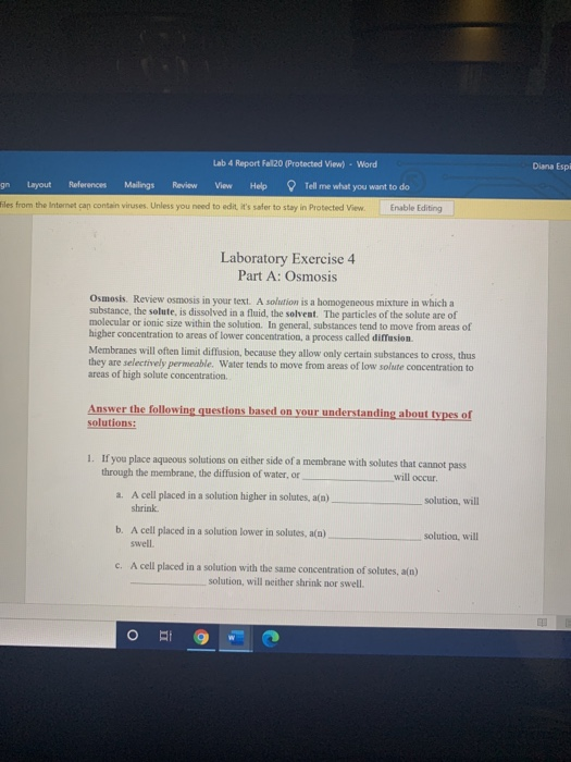 Solved Lab 4 Report Fall20 (Protected View) - Word Diana | Chegg.com