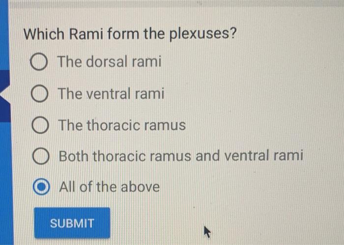 Solved Which Rami form the plexuses? O The dorsal rami O The | Chegg.com
