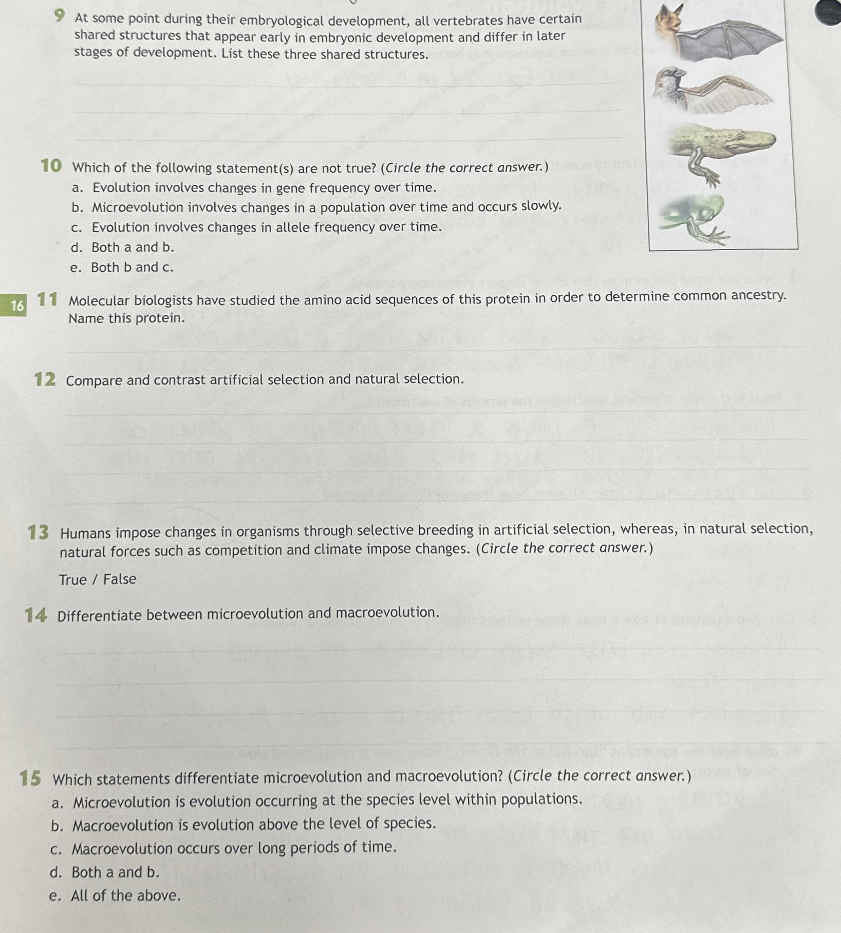 Solved At some point during their embryological development, | Chegg.com