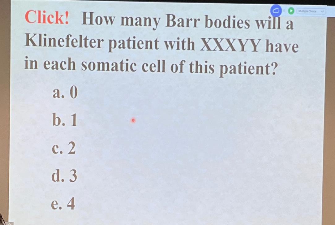 Solved Click! How many Barr bodies will a Klinefelter | Chegg.com