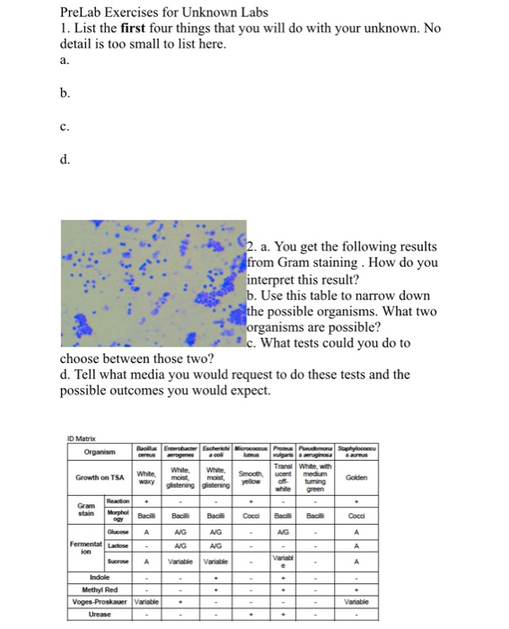 PreLab Exercises for Unknown Labs 1. List the first | Chegg.com