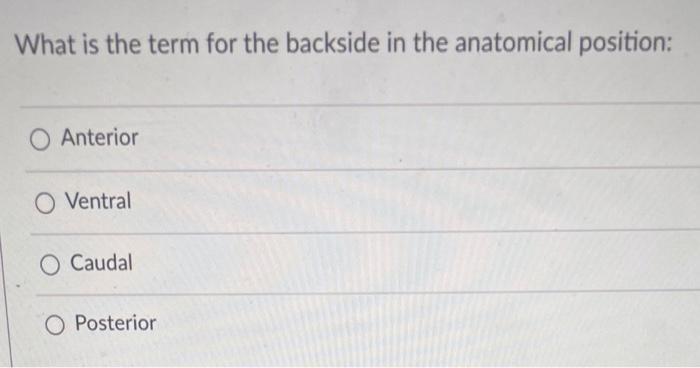 Solved What is the term for the backside in the anatomical | Chegg.com