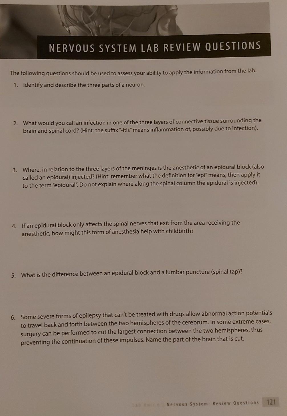 Solved NERVOUS SYSTEM LAB REVIEW QUESTIONS The following | Chegg.com