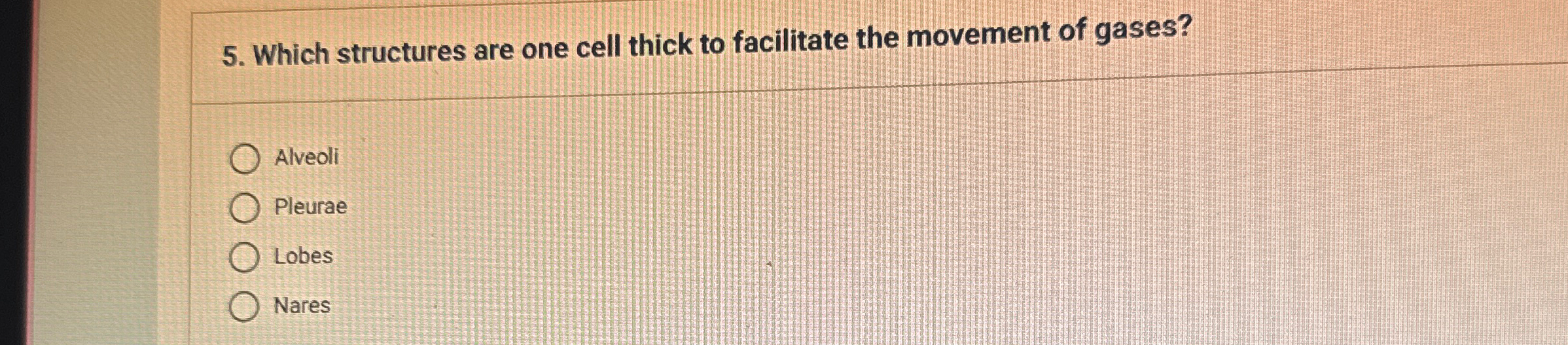 Solved Which structures are one cell thick to facilitate the | Chegg.com