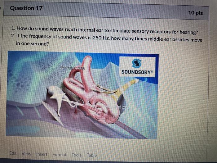 Solved Question 17 10 pts 1. How do sound waves reach | Chegg.com
