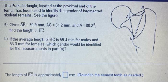 Solved The Purkait triangle, located at the proximal end of | Chegg.com