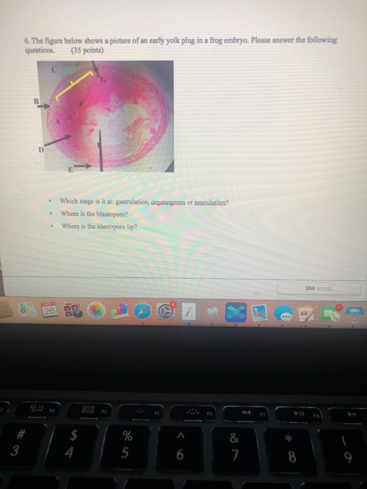 Solved 6. The figure below shows a picture of an early yolk | Chegg.com