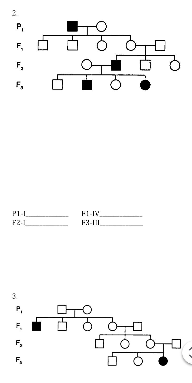 Solved There are 3 pedigrees in Part 1. Determine the mode | Chegg.com Solved There are 3 pedigrees in Part 1. Determine the mode | Chegg.com
