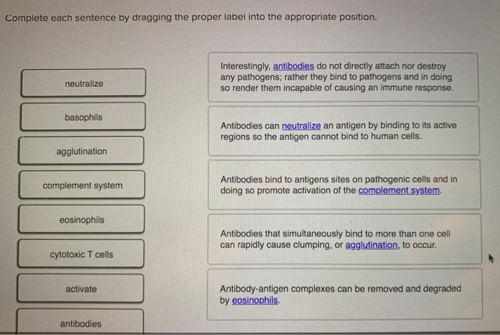 Solved Click and drag each scenario to identify which type | Chegg.com