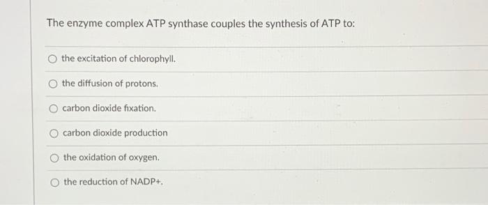 Solved The enzyme complex ATP synthase couples the synthesis | Chegg.com