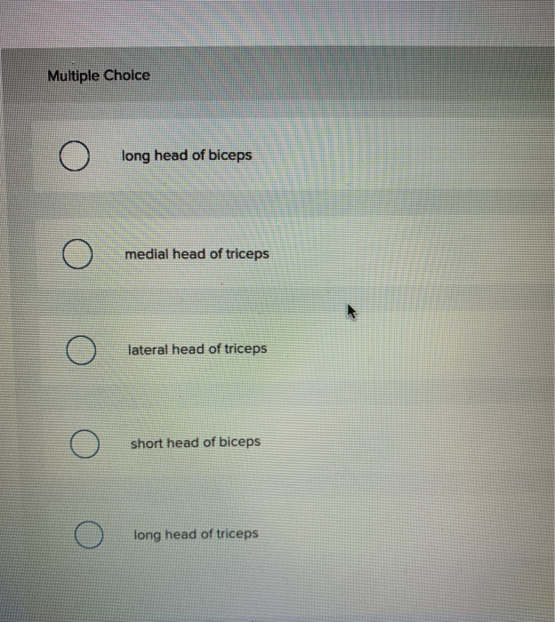 Solved Which structure is highlighted? Multiple Choice | Chegg.com
