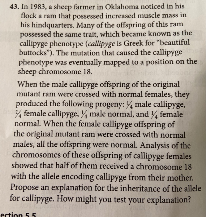 Solved 43. In 1983, a sheep farmer in Oklahoma noticed in | Chegg.com