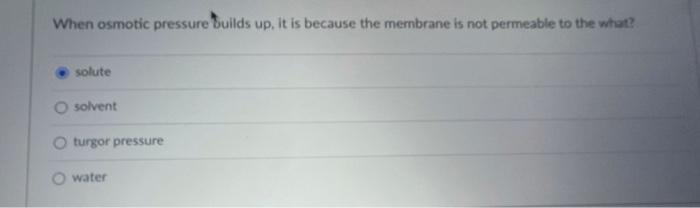 Solved What is the relationship between magnification of the | Chegg.com