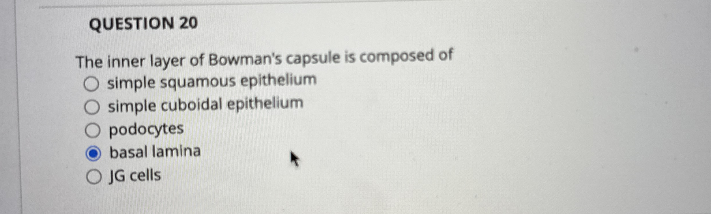 Solved QUESTION 20The inner layer of Bowman's capsule is | Chegg.com