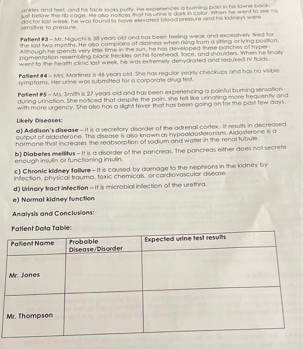 Solved Urinary System Lab Activity: Urinalysis Background: | Chegg.com