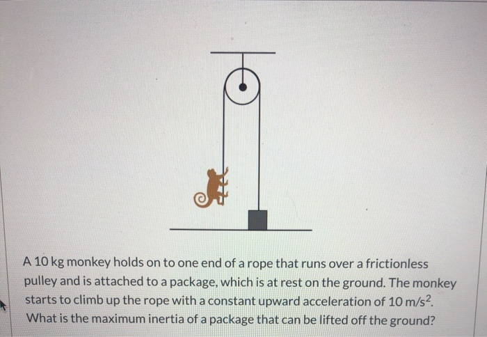 Solved A 10 kg monkey holds on to one end of a rope that | Chegg.com