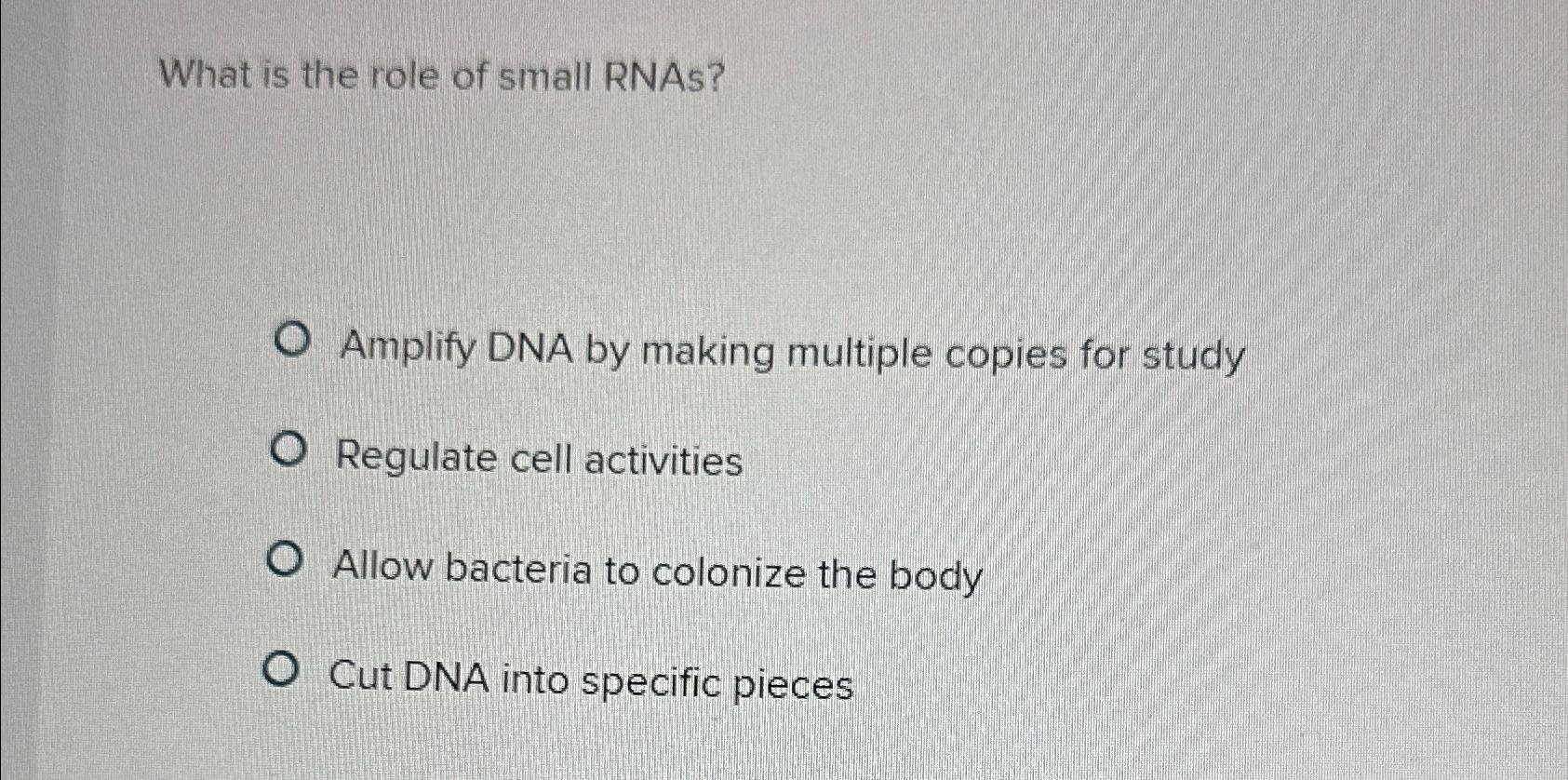 Solved What is the role of small RNAs?Amplify DNA by making | Chegg.com