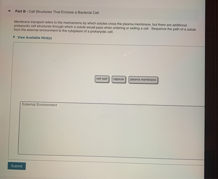 Solved Part B - Cell Structures That Enclose a Bacterial | Chegg.com