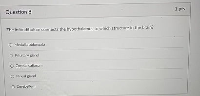 Solved Question 81 ﻿ptsThe infundibulum connects the | Chegg.com
