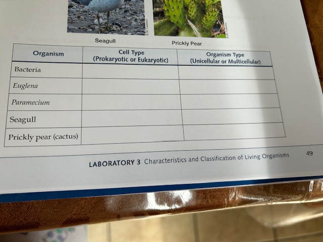 Solved LABORATORY 3 ﻿Characteristics and Classification of | Chegg.com