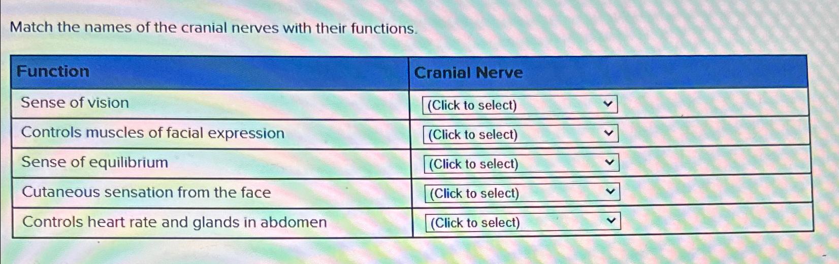 Solved Match the names of the cranial nerves with their | Chegg.com