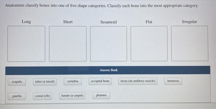 Solved Anatomists classify bones into one of five shape | Chegg.com
