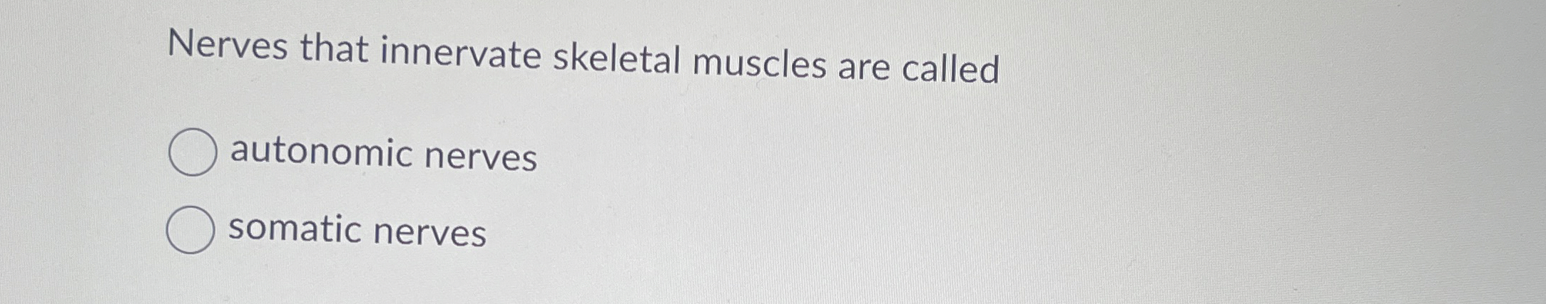 Solved Nerves that innervate skeletal muscles are | Chegg.com Solved Nerves that innervate skeletal muscles are | Chegg.com