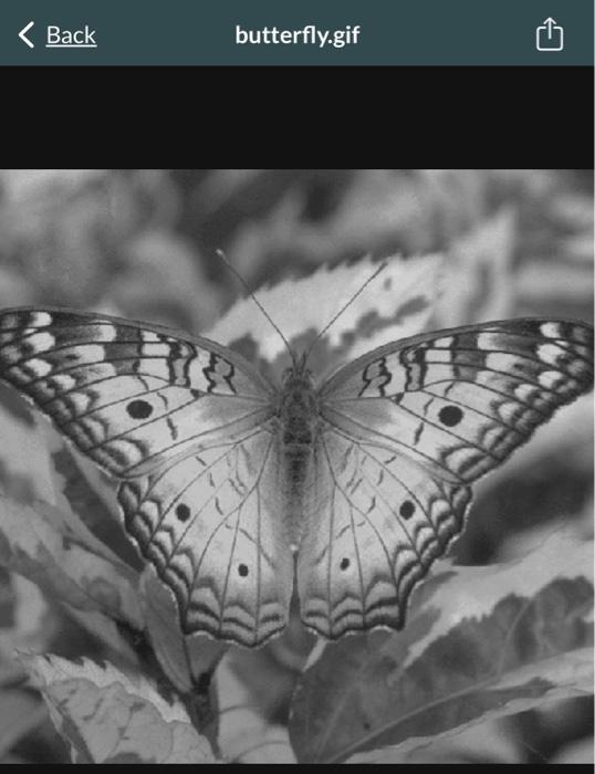 Problem 1. [35 points] Basic Image processing II. | Chegg.com