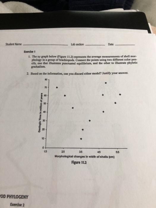 Solved Lab section Date Exercise 1 1. The xy graph below | Chegg.com